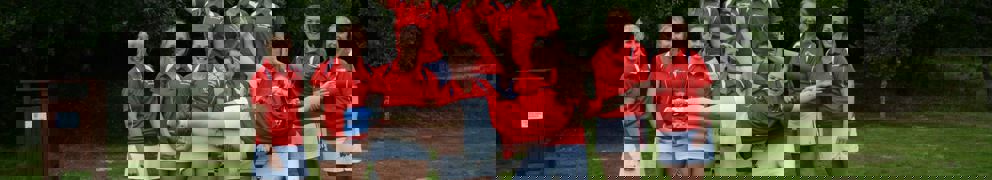 News – Stoolball England